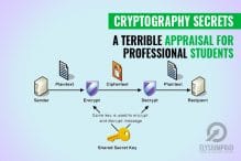 Cryptography Techniques - A Terrible Appraisal for Professional Students